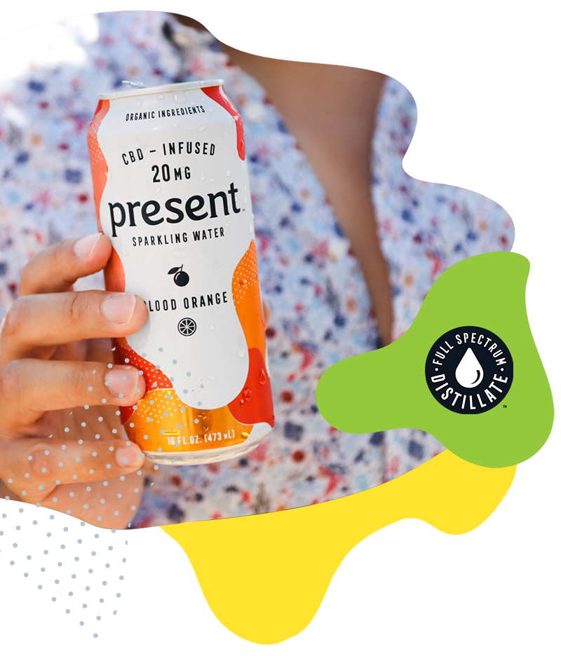Drink Present - CBD Infused Sparkling Water